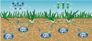especk1 | Products | Japan Exlan Co., Ltd.